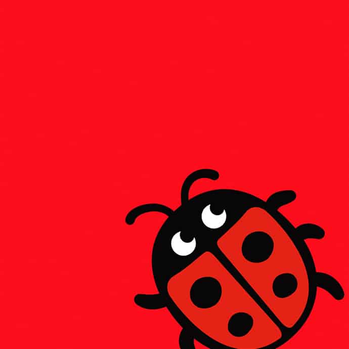 Ladybird Education, built in WordPress : Illustrate Digital